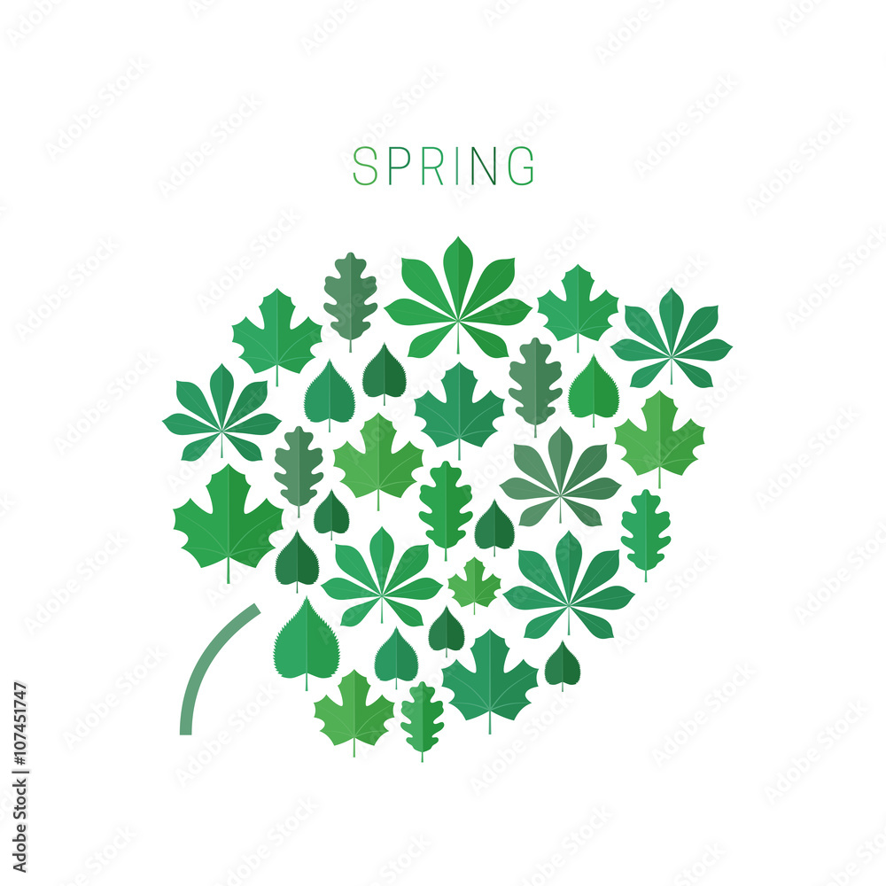 Green spring leaves. Stock Vector | Adobe Stock