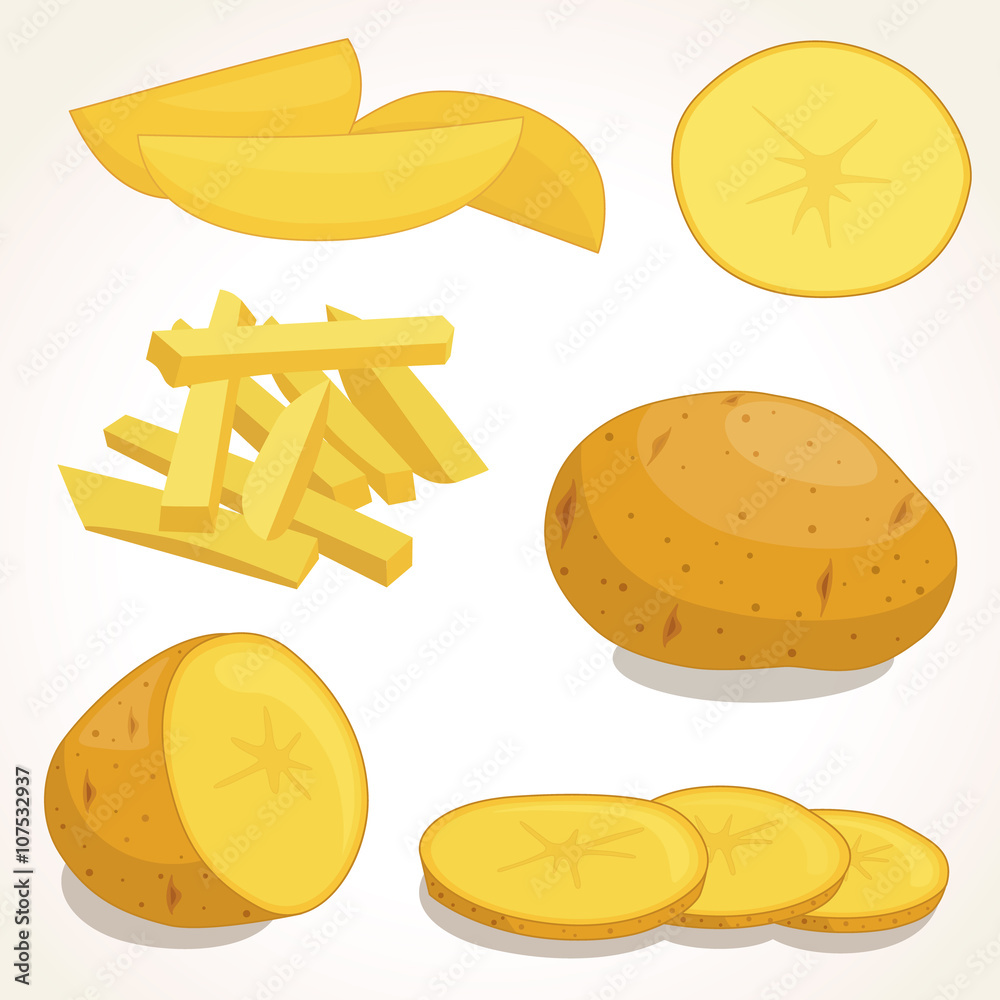 Potatoes vector illustration isolated on background. Set of whole ...