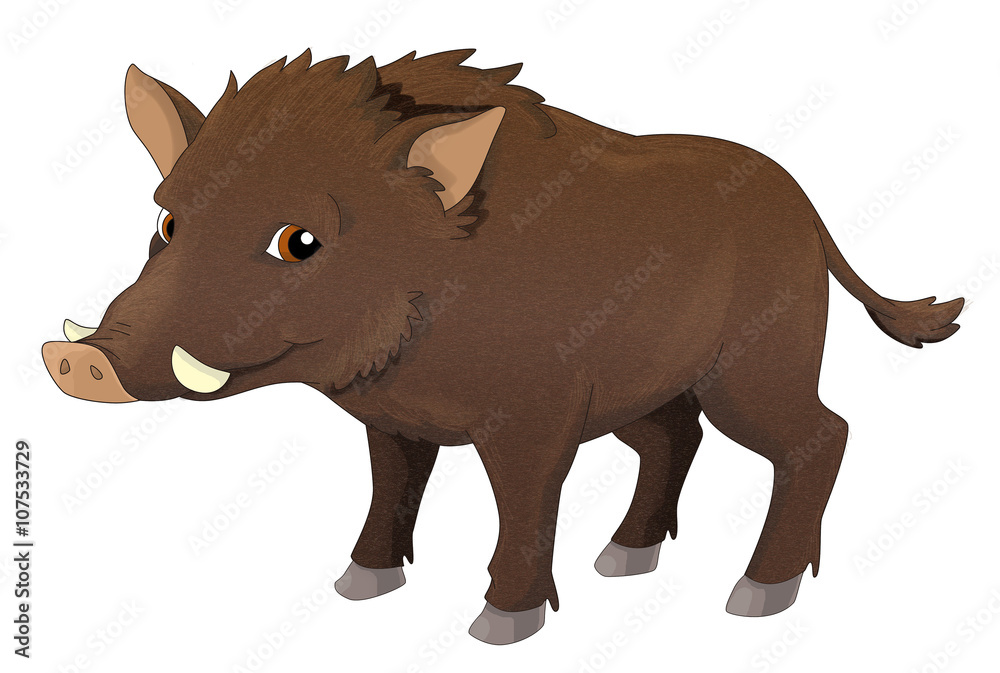 Cartoon animal - boar - isolated - illustration for children Stock ...
