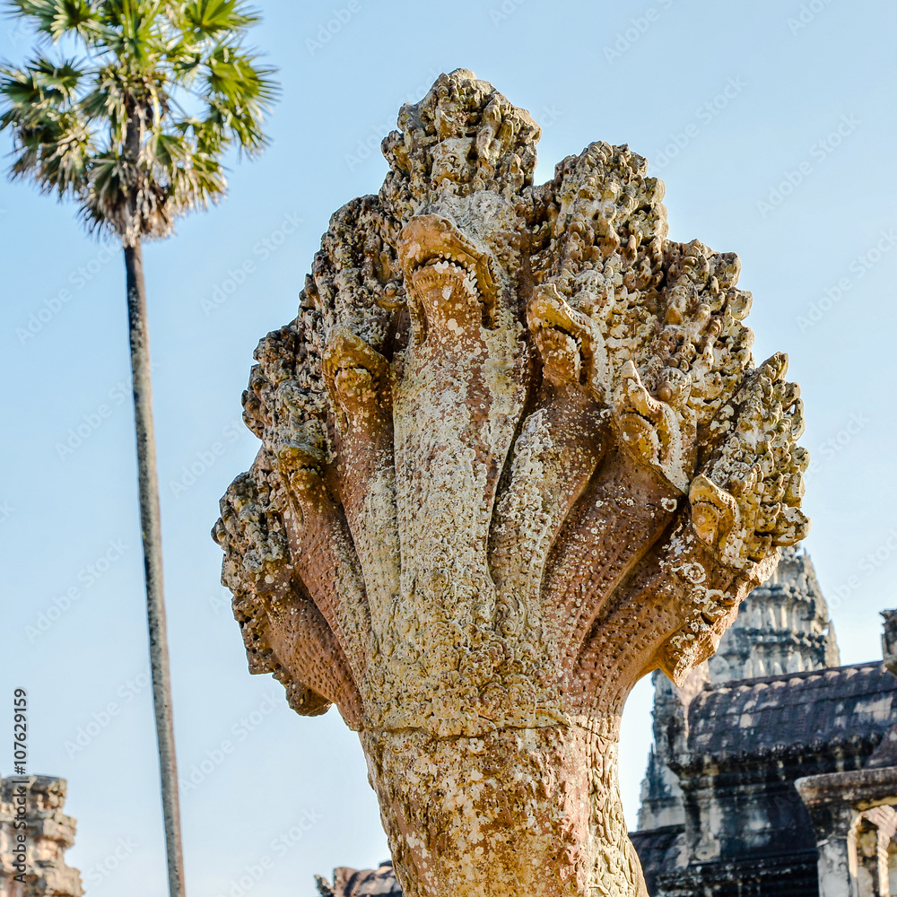 Snake With 7 Heads Real