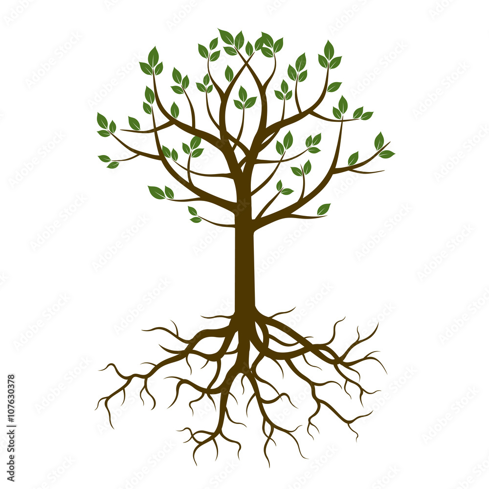 Color Tree and Roots. Vector Illustration. Stock Vector | Adobe Stock