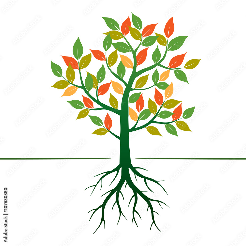 Color Tree and Roots. Vector Illustration. Stock Vector | Adobe Stock