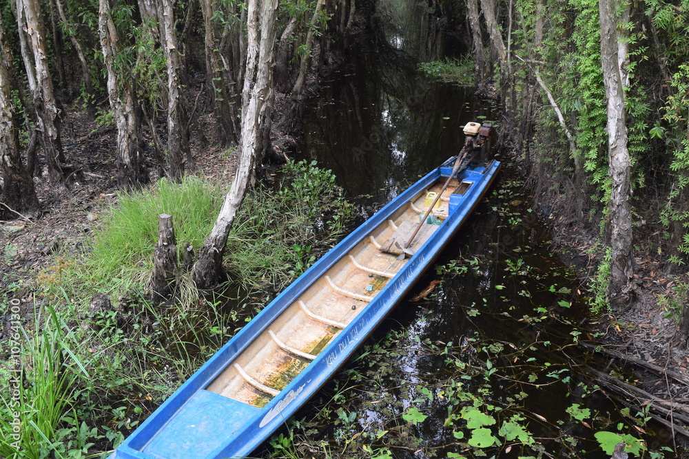 boat on the river in forest for travelling ecotourism Stock Photo ...