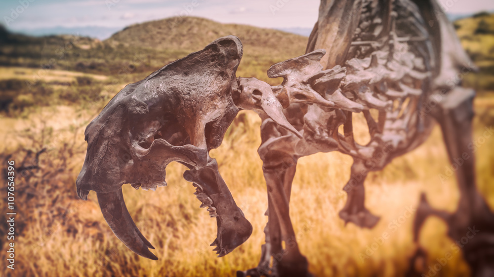 Saber-Toothed Cat Fossil Desert Prairie. A prehistoric saber-toothed ...