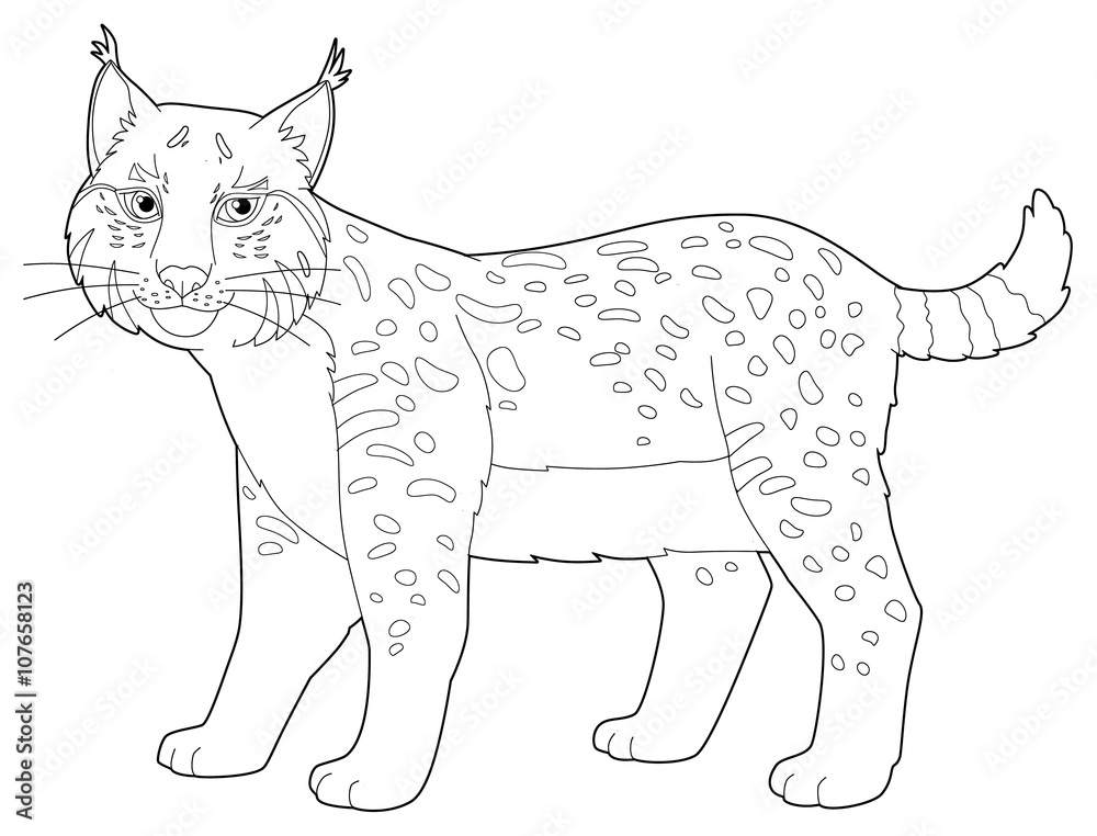 Cartoon animal - lynx - isolated - coloring page - illustration for ...