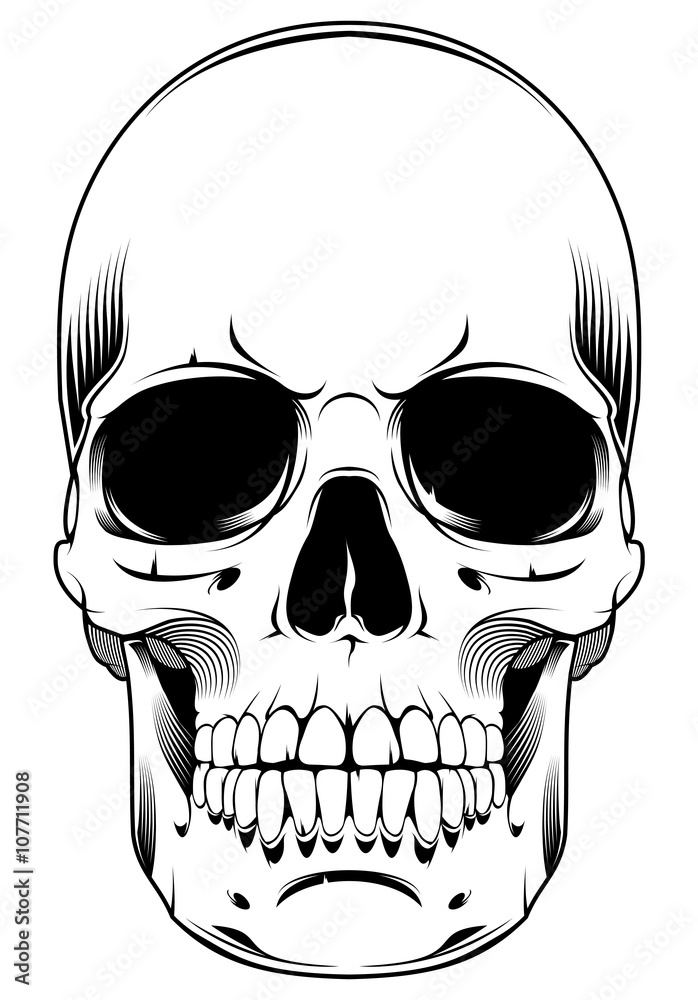 Skull design element vector de Stock | Adobe Stock