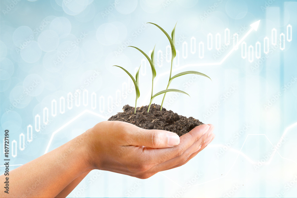 Sprout tree on hand with growing graph of financial or Market share ...