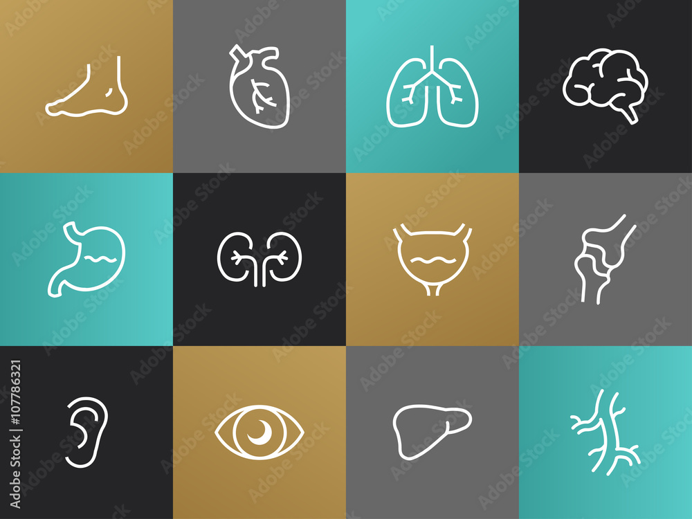 Single Line Body Parts Pictograms Set Stock Vector | Adobe Stock