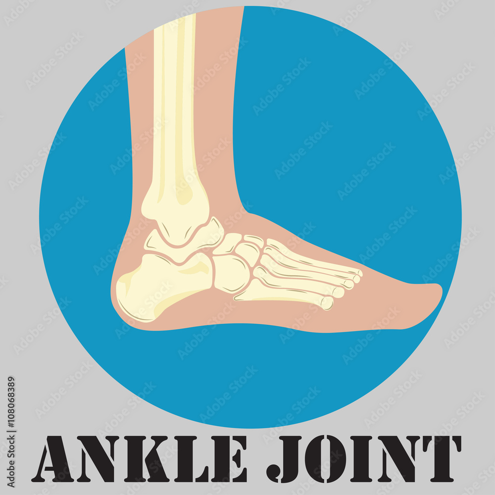 Human ankle joint emblem Stock Vector | Adobe Stock
