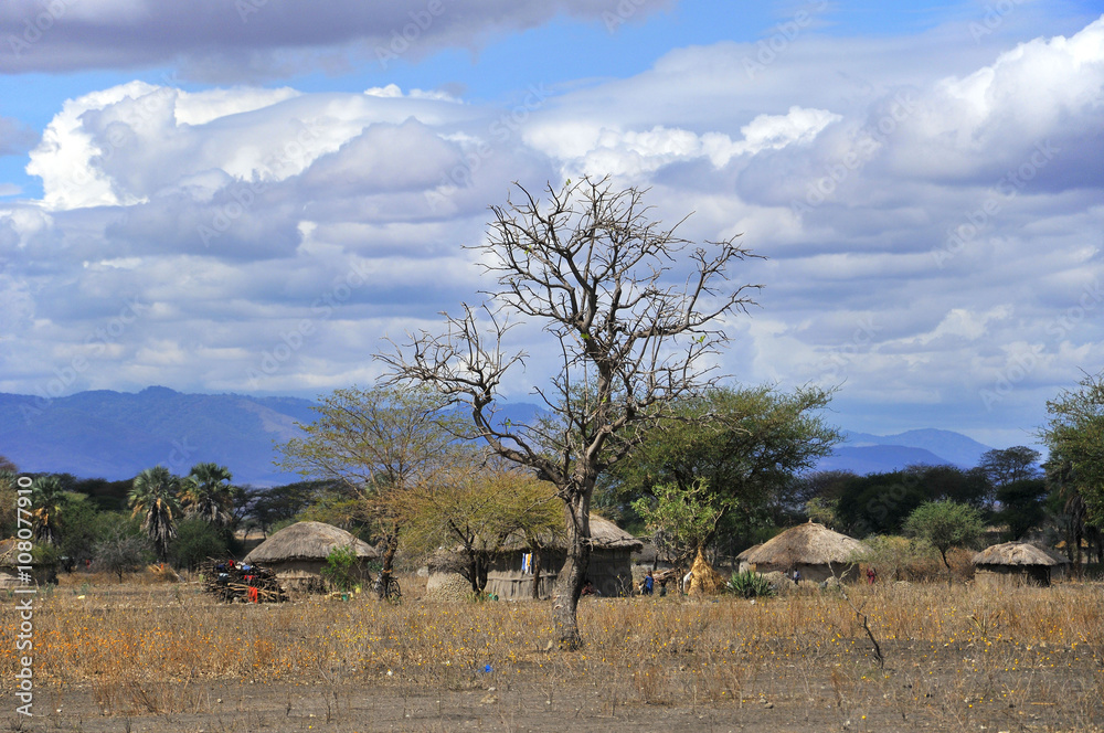 Zulu Tribe Houses