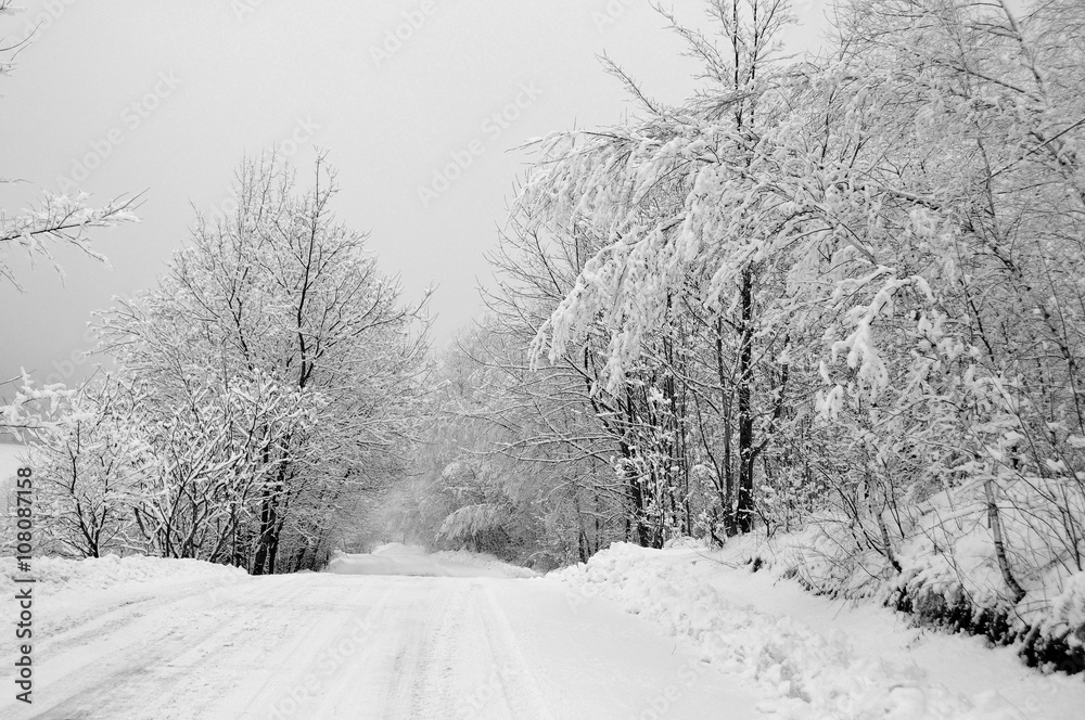Quebec Winter Landscape