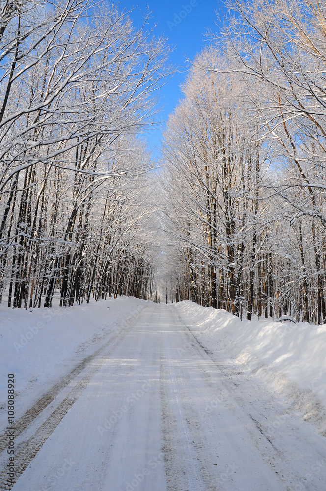 Quebec Winter Landscape