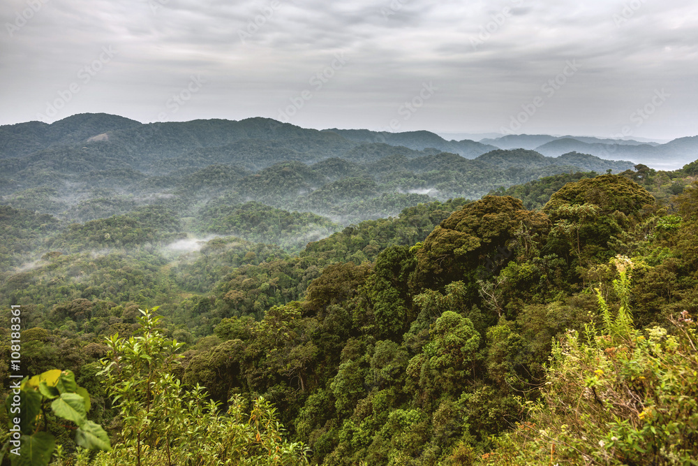 Rwanda rainforests. The sky and the mountains accompany with ...