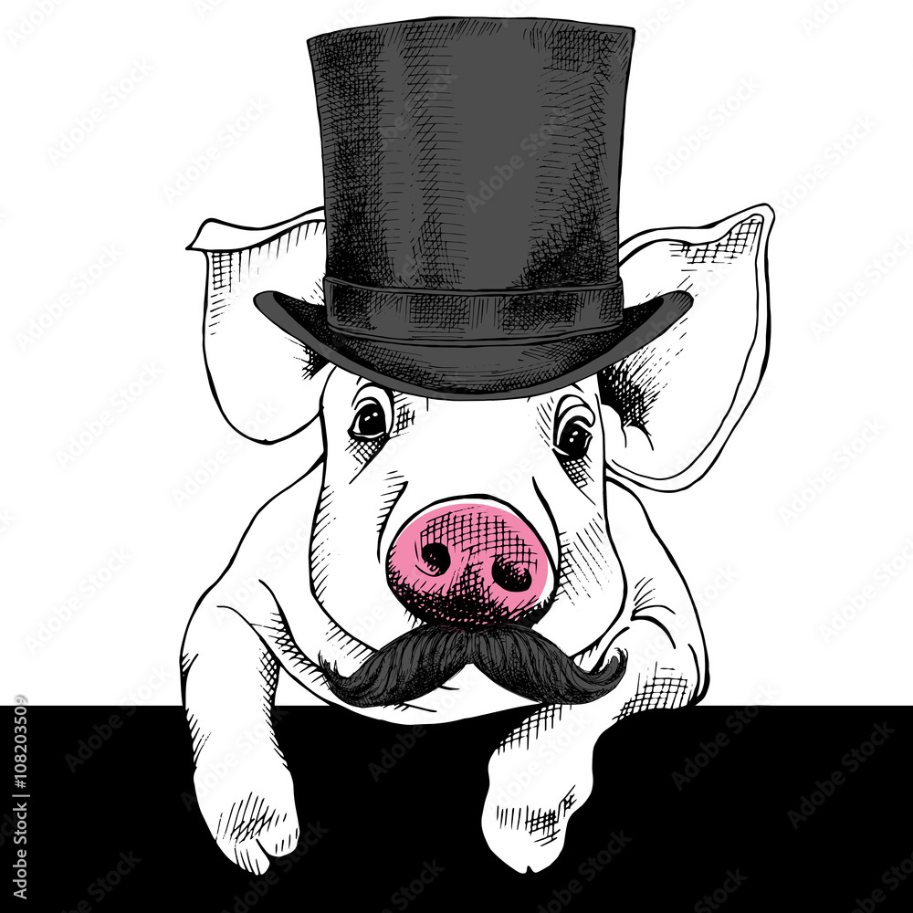 Bowler Hat Clipart Black And White Pig