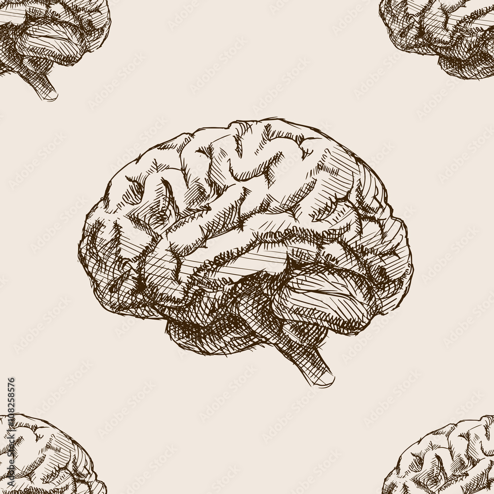 Human brain sketch style seamless pattern vector Stock Vector | Adobe Stock