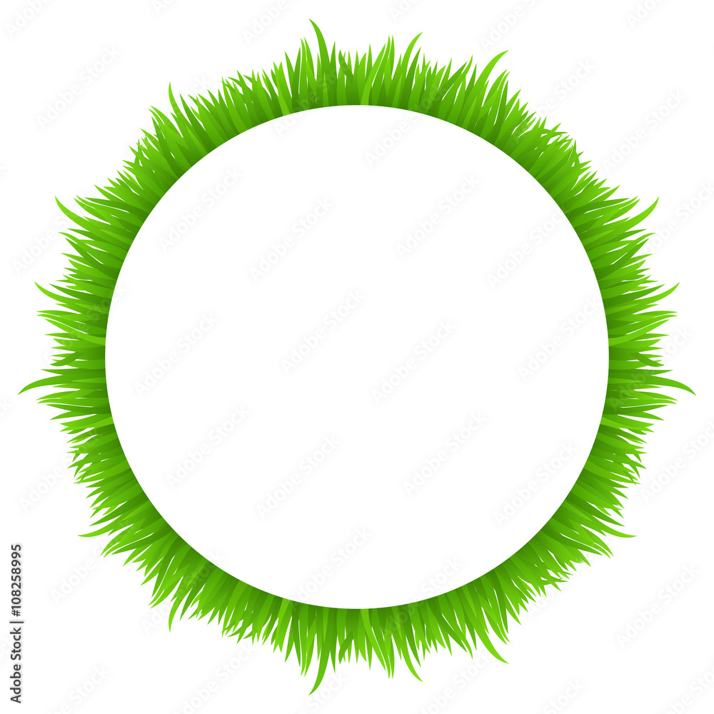 Circle frame made of grass isolated on white. Fresh spring, summer ...