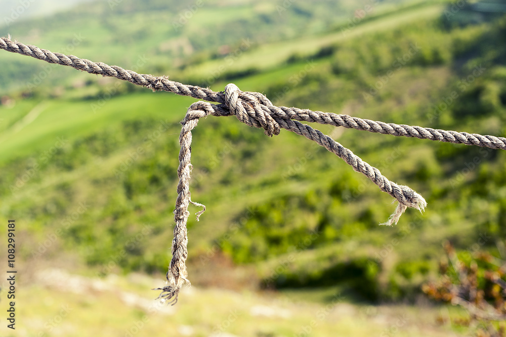 Nodo gigante Stock Photo | Adobe Stock
