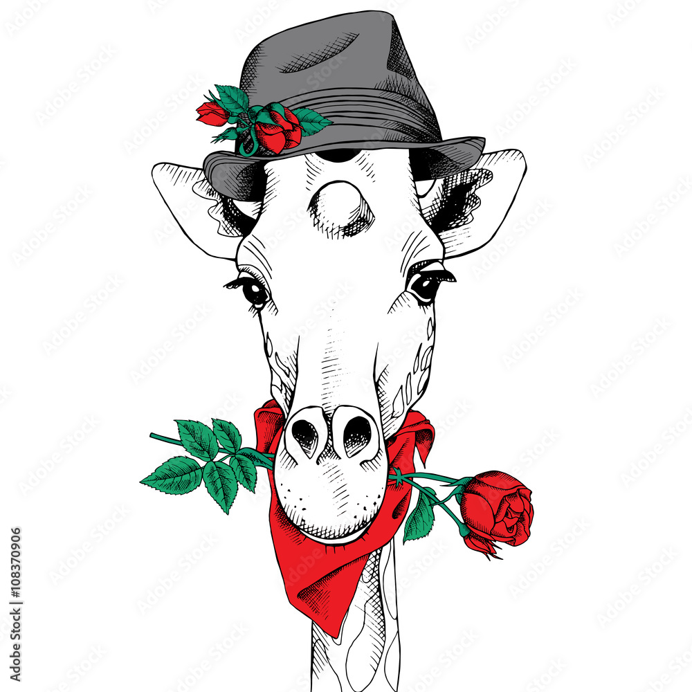 The image of the giraffe in the hat with flower of the rose. Vector ...