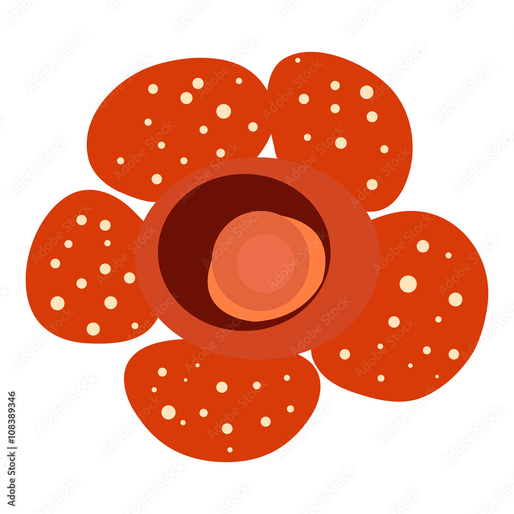 Isolated red "Rafflesia" flower with white dotted petals from the top ...