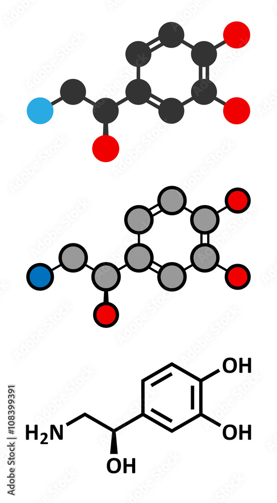 Norepinephrine (noradrenaline, norepi) hormone and neurotransmitter ...