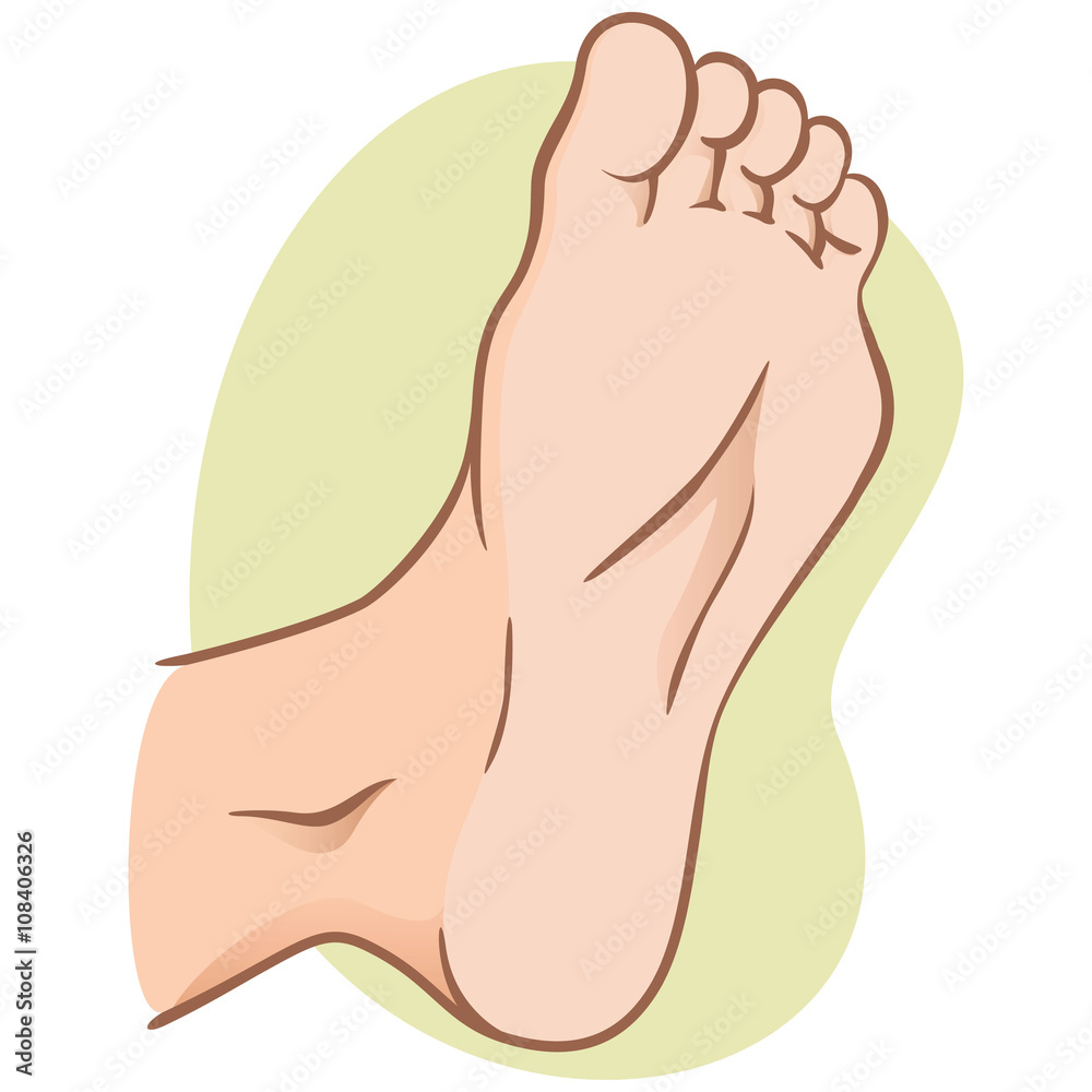 body part illustration, plant or sole of the foot, caucasian Stock ...