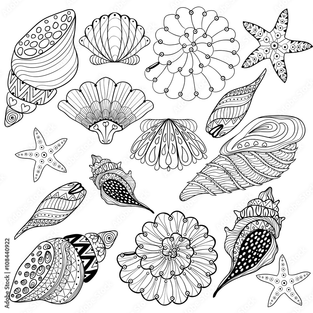Vector set Shells, zentangle seashells for adult anti stress Col Stock ...