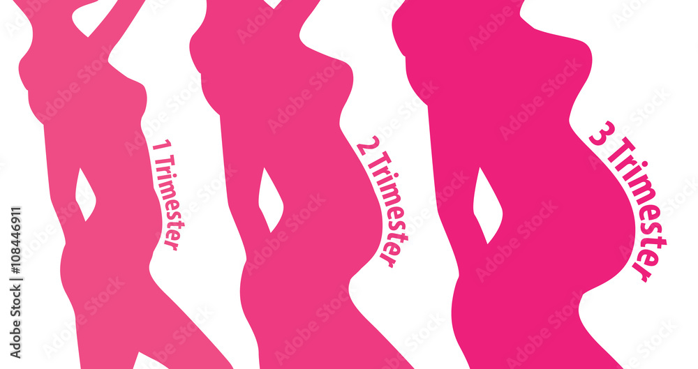 Pregnancy stages trimesters, pregnant woman and changes in body vector ...