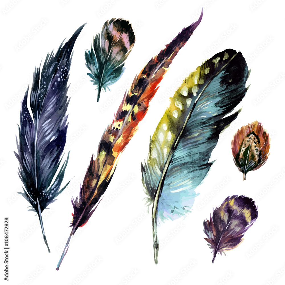 Watercolor Feathers Set Stock Vector | Adobe Stock