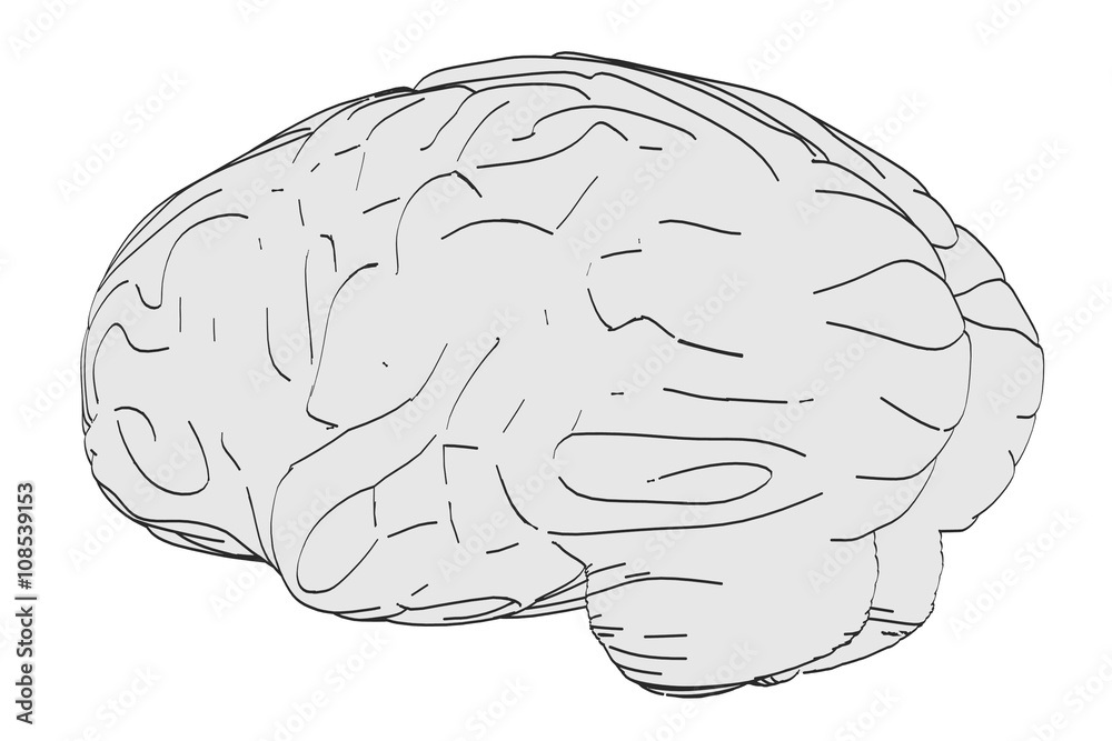 2d cartoon illustration of brain Stock Illustration | Adobe Stock