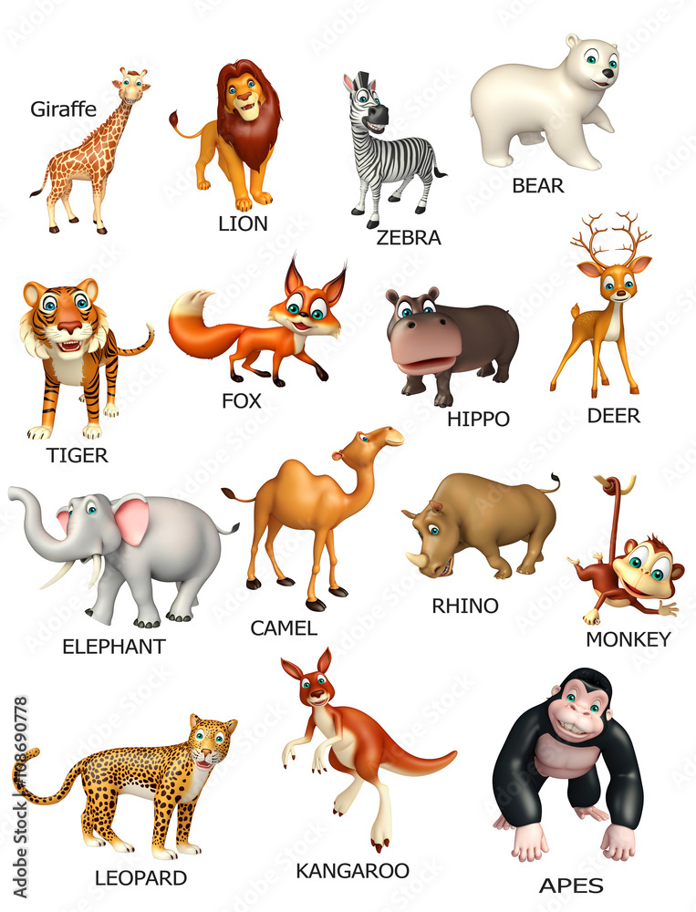 Types Of Mammals Chart