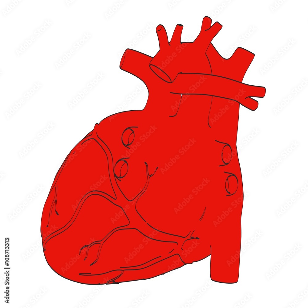 2d cartoon illustration of human heart Stock Illustration | Adobe Stock