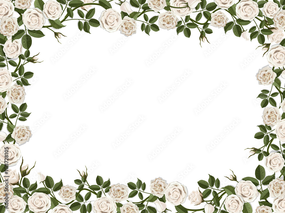 Blank Square With Border