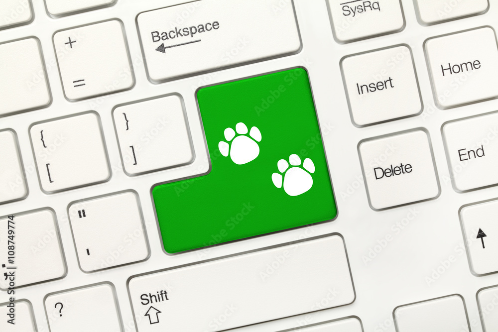 White conceptual keyboard - Green key with dog footprints symbol Stock ...