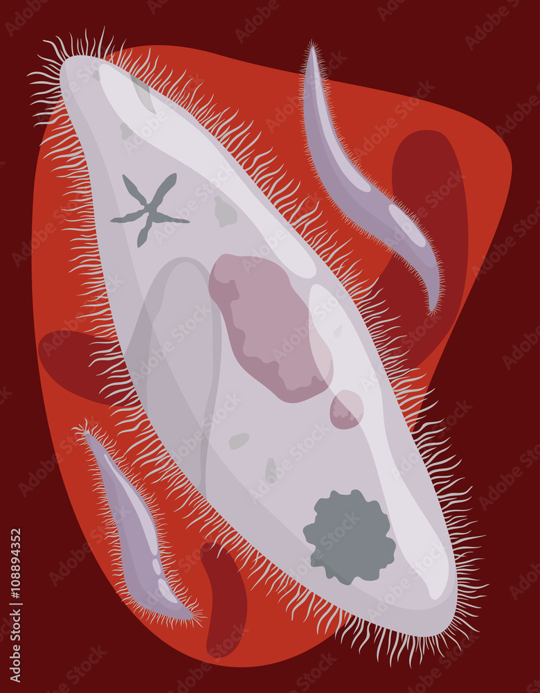Malarian Plasmodium across Bloodstream, Vector Illustration Stock ...
