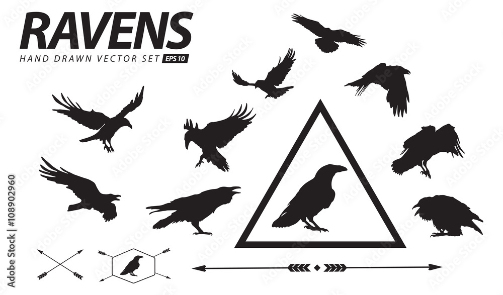 Hand Drawn Ravens Vector Set Stock Vector | Adobe Stock