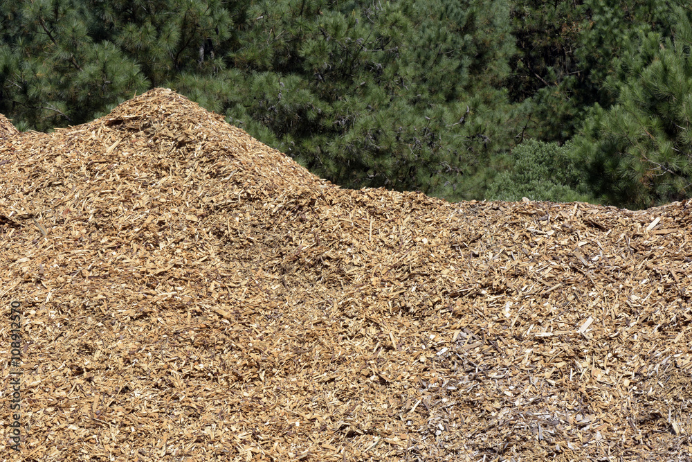 Stack of wood shavings in sawmill Photos | Adobe Stock