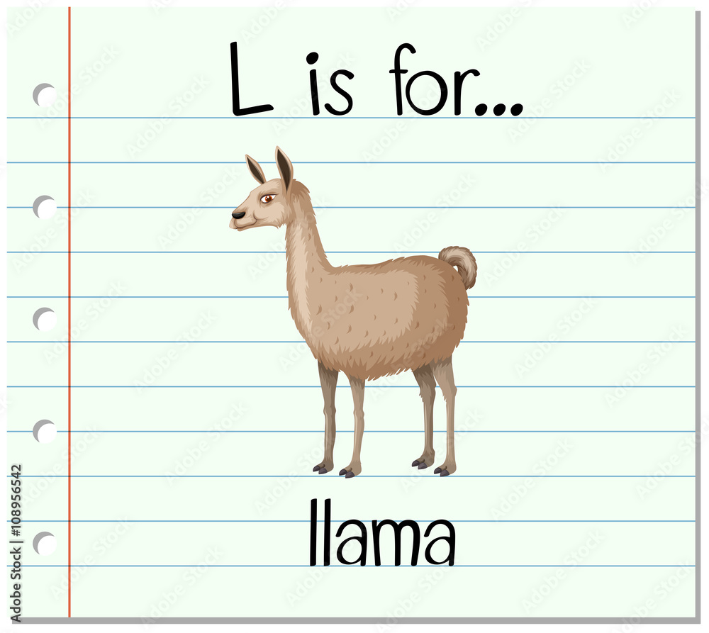 Flashcard letter L is for llama Stock Vector | Adobe Stock