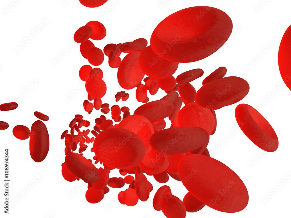 Red blood cells erythrocytes in interior of arterial or capillary blood ...