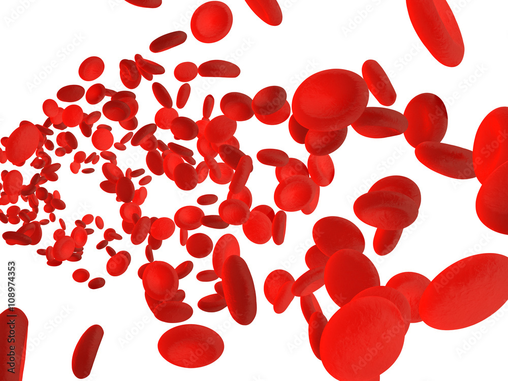 Fotka „Red blood cells erythrocytes in interior of arterial or ...
