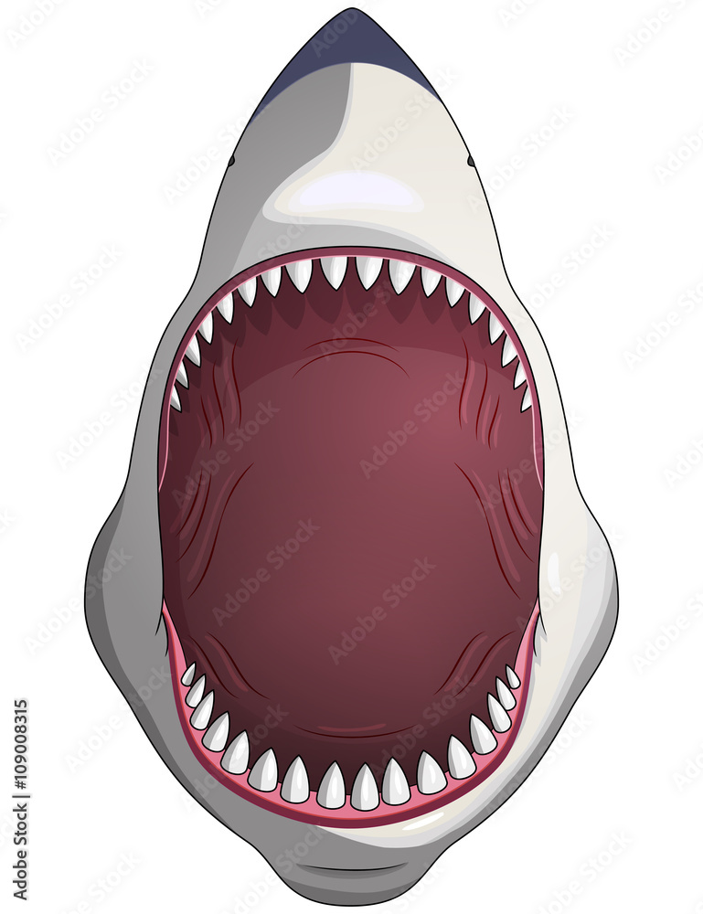 Shark with open mouth.Vector isolated. Stock Vector | Adobe Stock