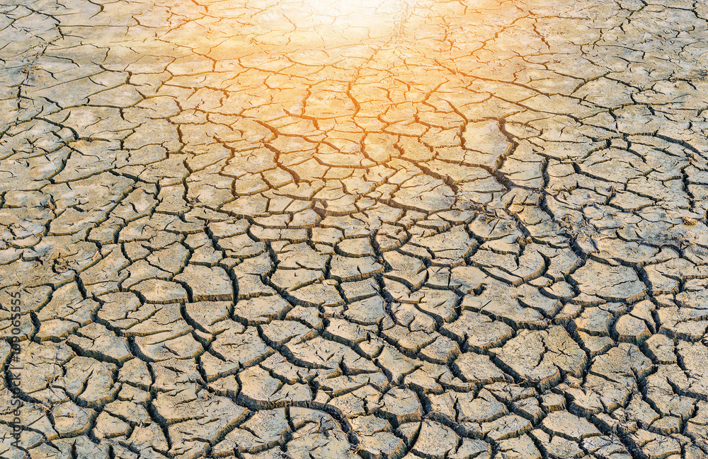 Cracked Dirt Background