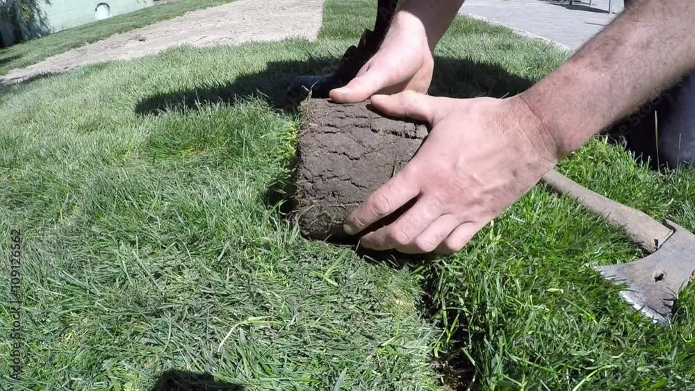 Rolling turf grass on the new lawn and an ax beside slow motion Stock ...