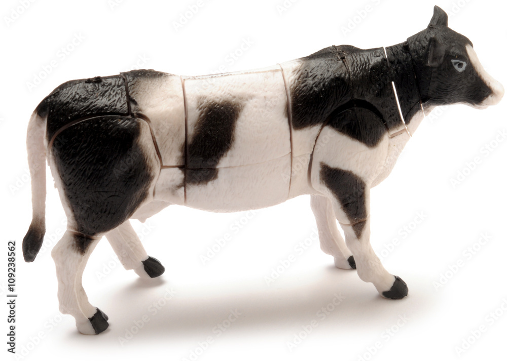 গরু بقرة Bos taurus 소 Nauta ウシ Mucca Rund Bue Vacă Nötkreatur Vache ...