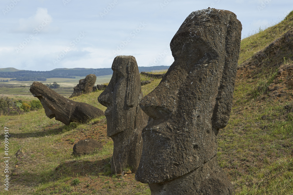 Rano Raraku. Abandoned and partially buried statues on the slopes of ...