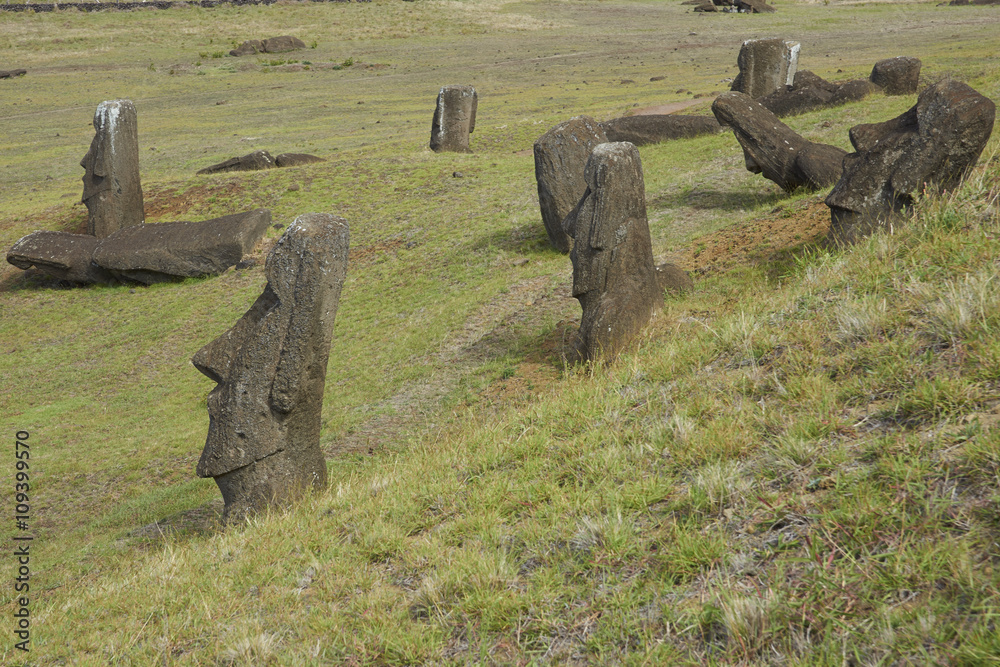 Rano Raraku. Abandoned and partially buried statues on the slopes of ...