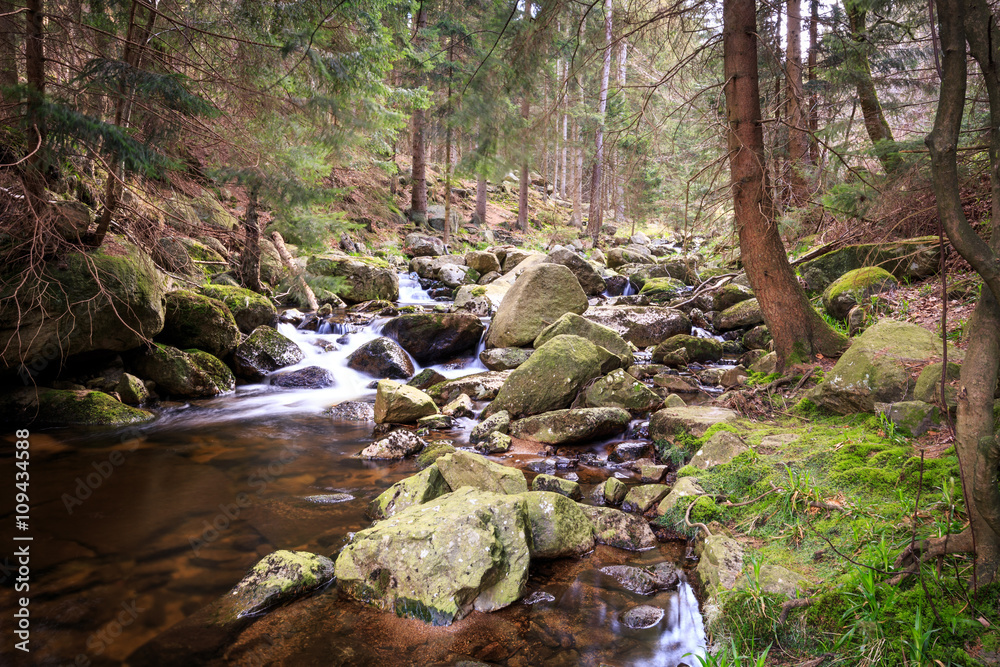 Fluss im Wald mit Geröll und Steinen Stock-Foto | Adobe Stock