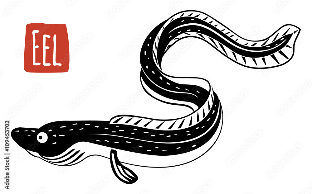 Eel, vector cartoon illustration Stock Vector | Adobe Stock