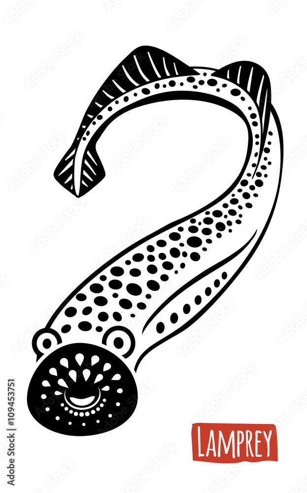 Poster Lamprey, vector cartoon illustration – Wall Art | UkPosters