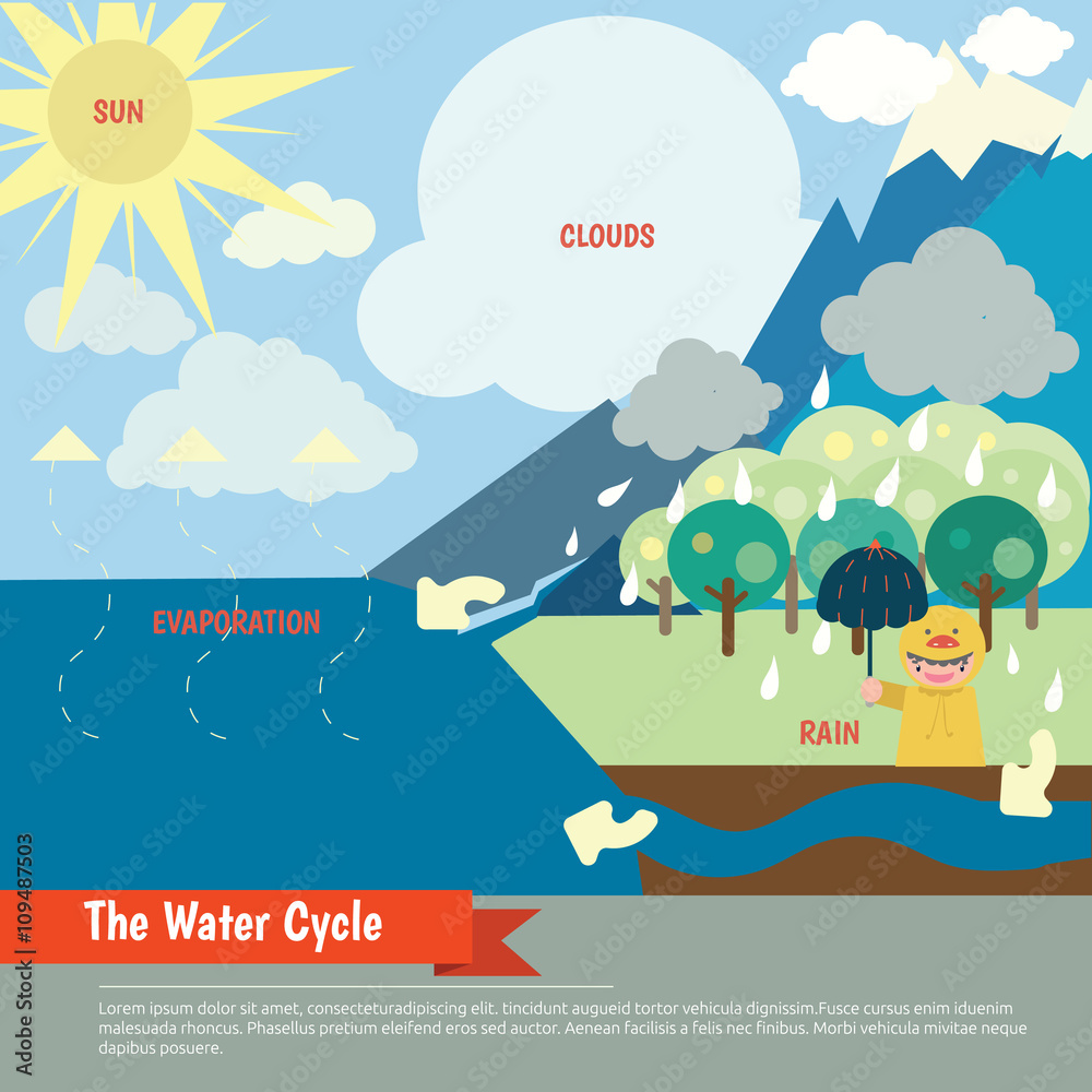 Vector schematic representation of the water cycle in nature Stock ...