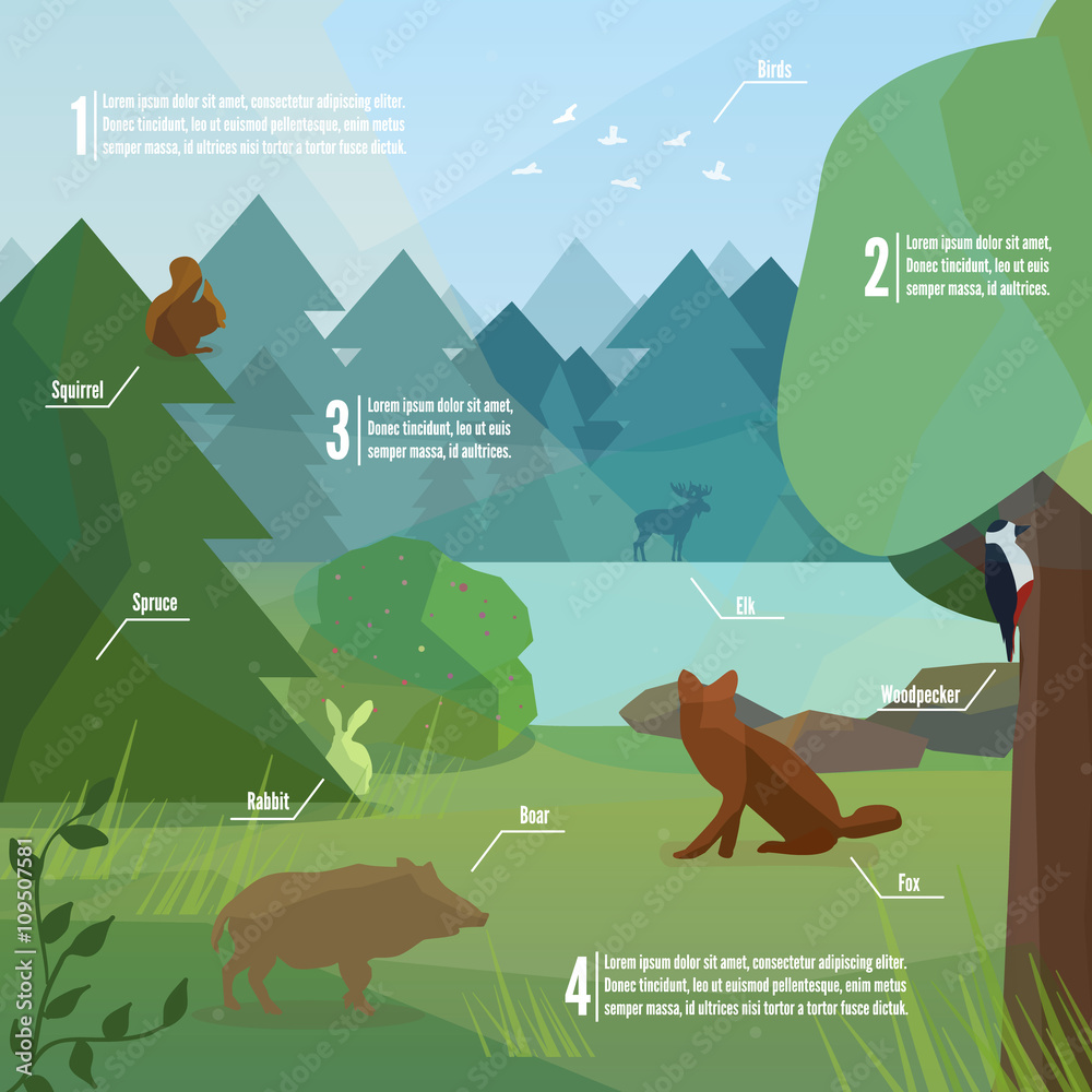 Forest infographic in low polygon style. Vector illustration of forest ...